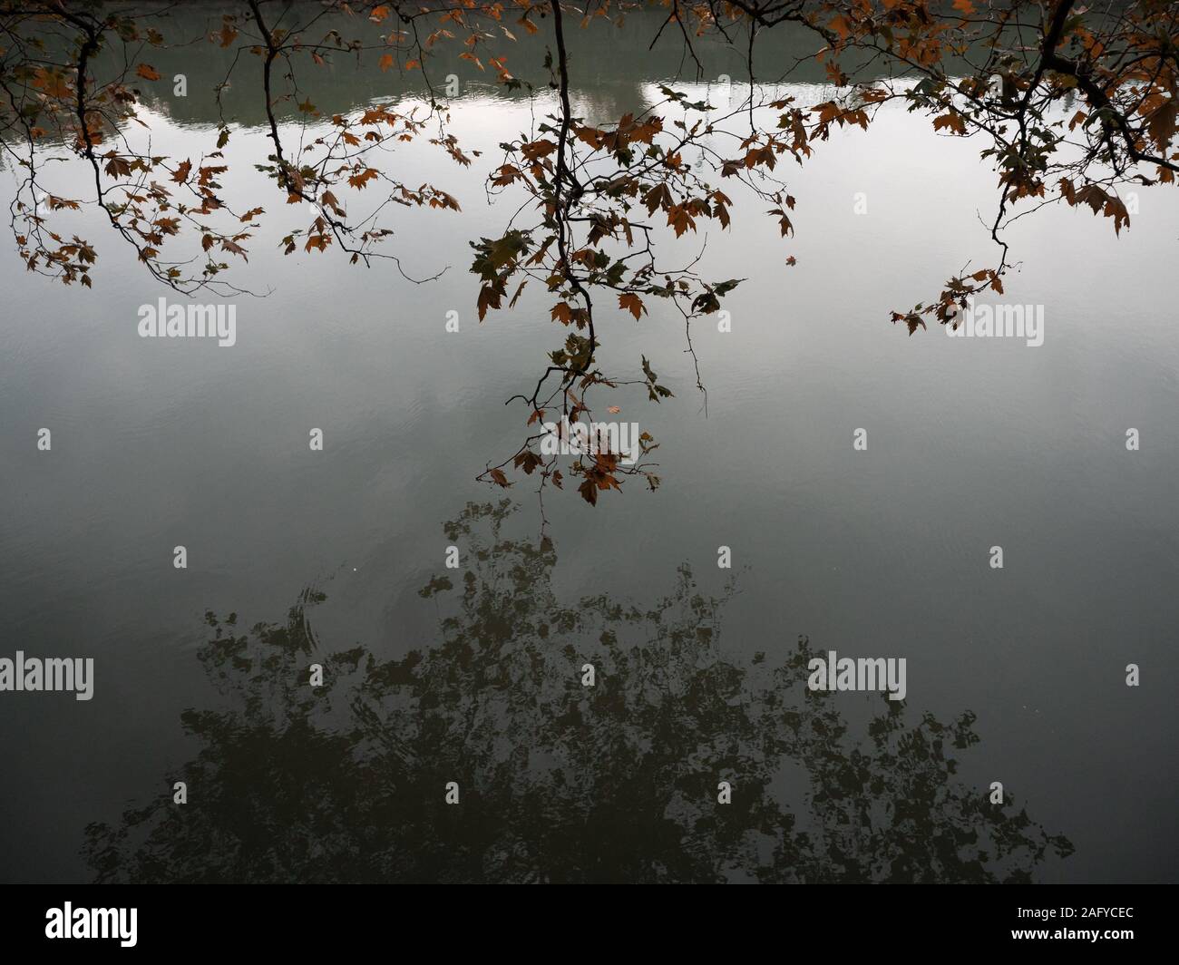 Reflection of an autumn tree in river Stock Photo - Alamy