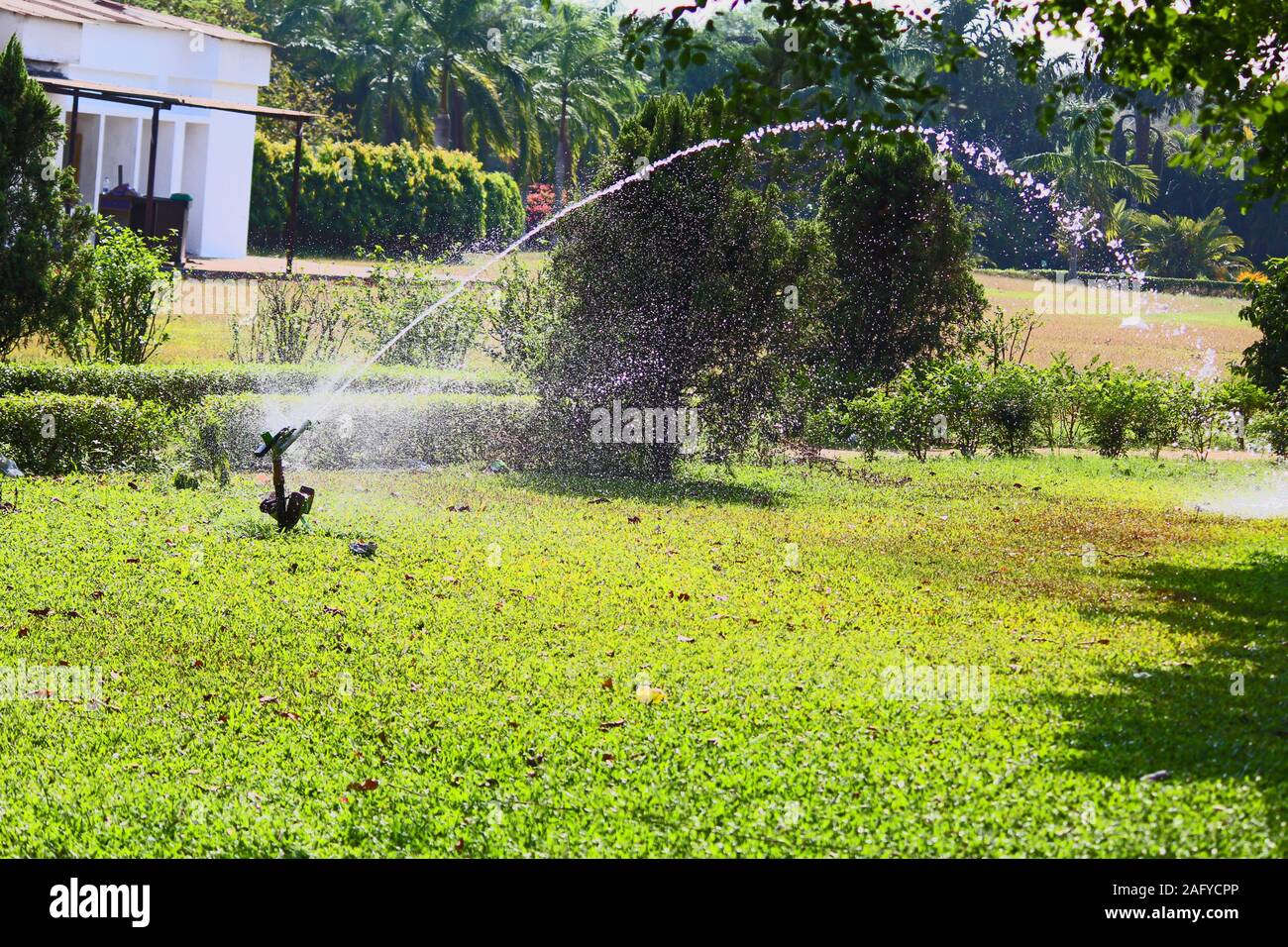 water spraying in a garden during summer Stock Photo - Alamy