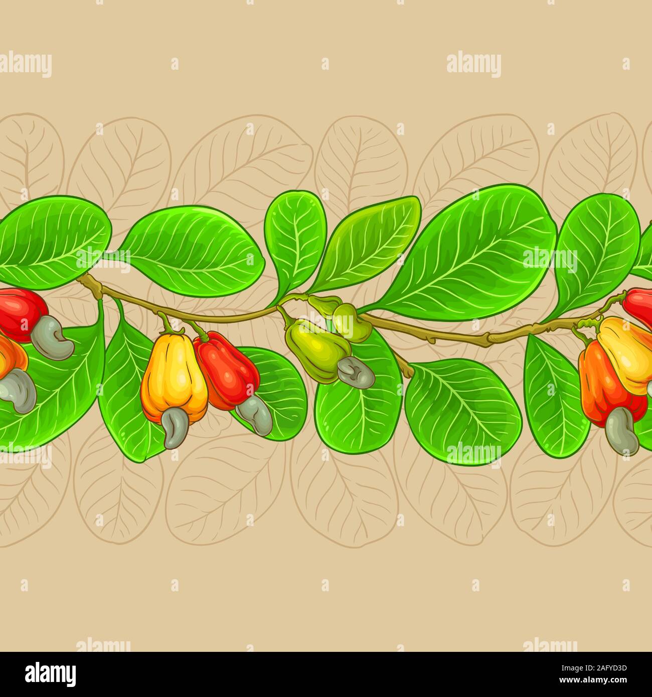 Cashew nut tree Stock Vector Images - Alamy