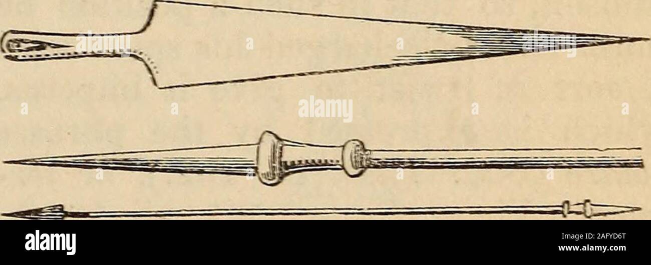 Haruspex hi-res stock photography and images - Alamy