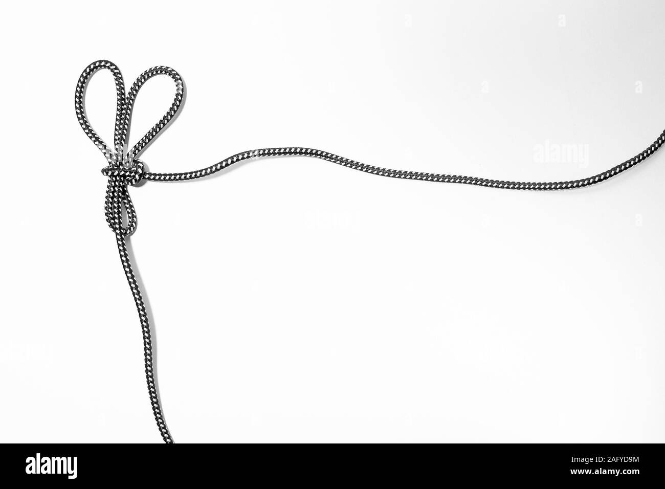 Bunny rabbit ears on Black and White Stock Photos & Images - Alamy