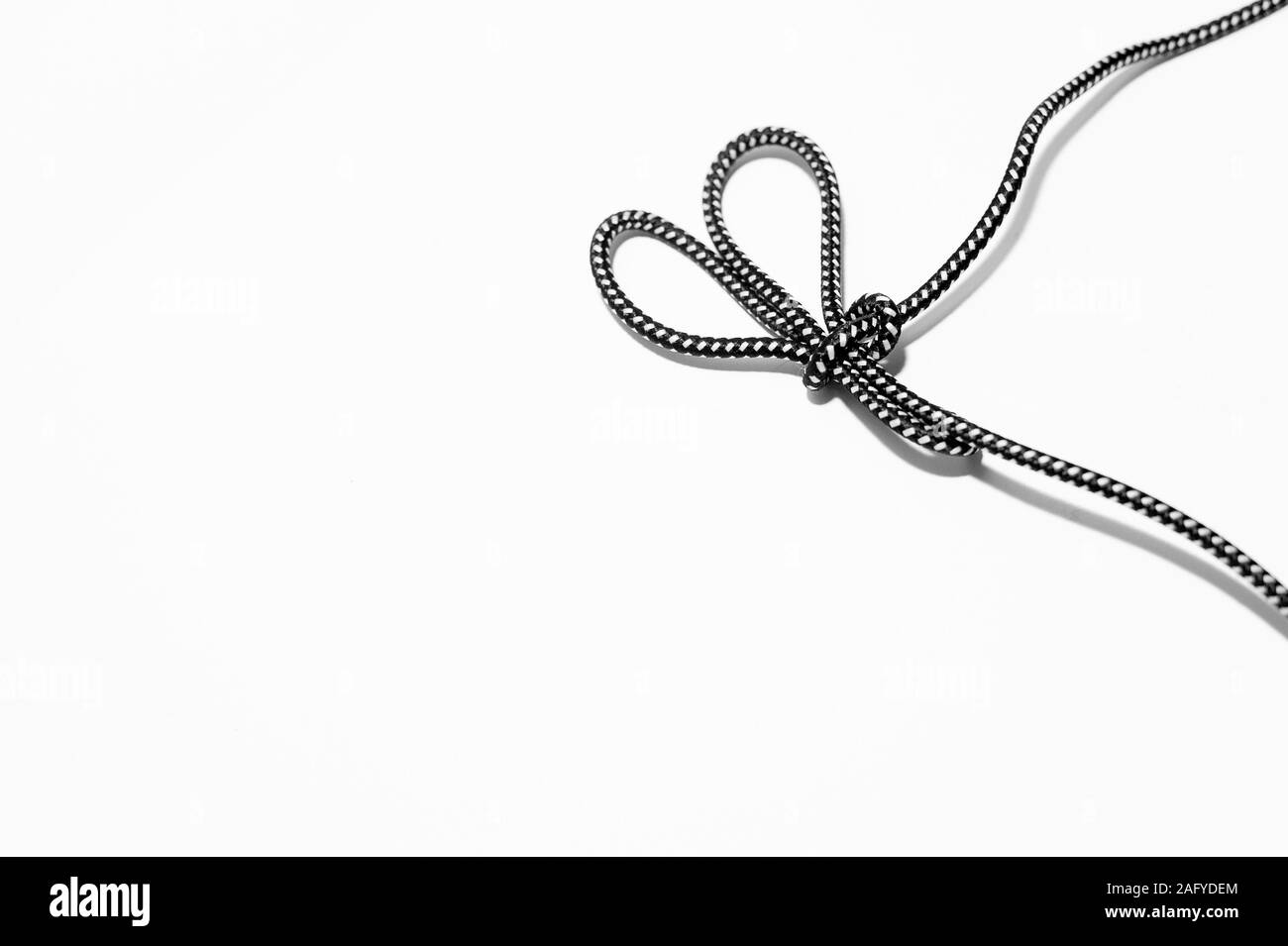 A bunny ears knot on white background Stock Photo - Alamy