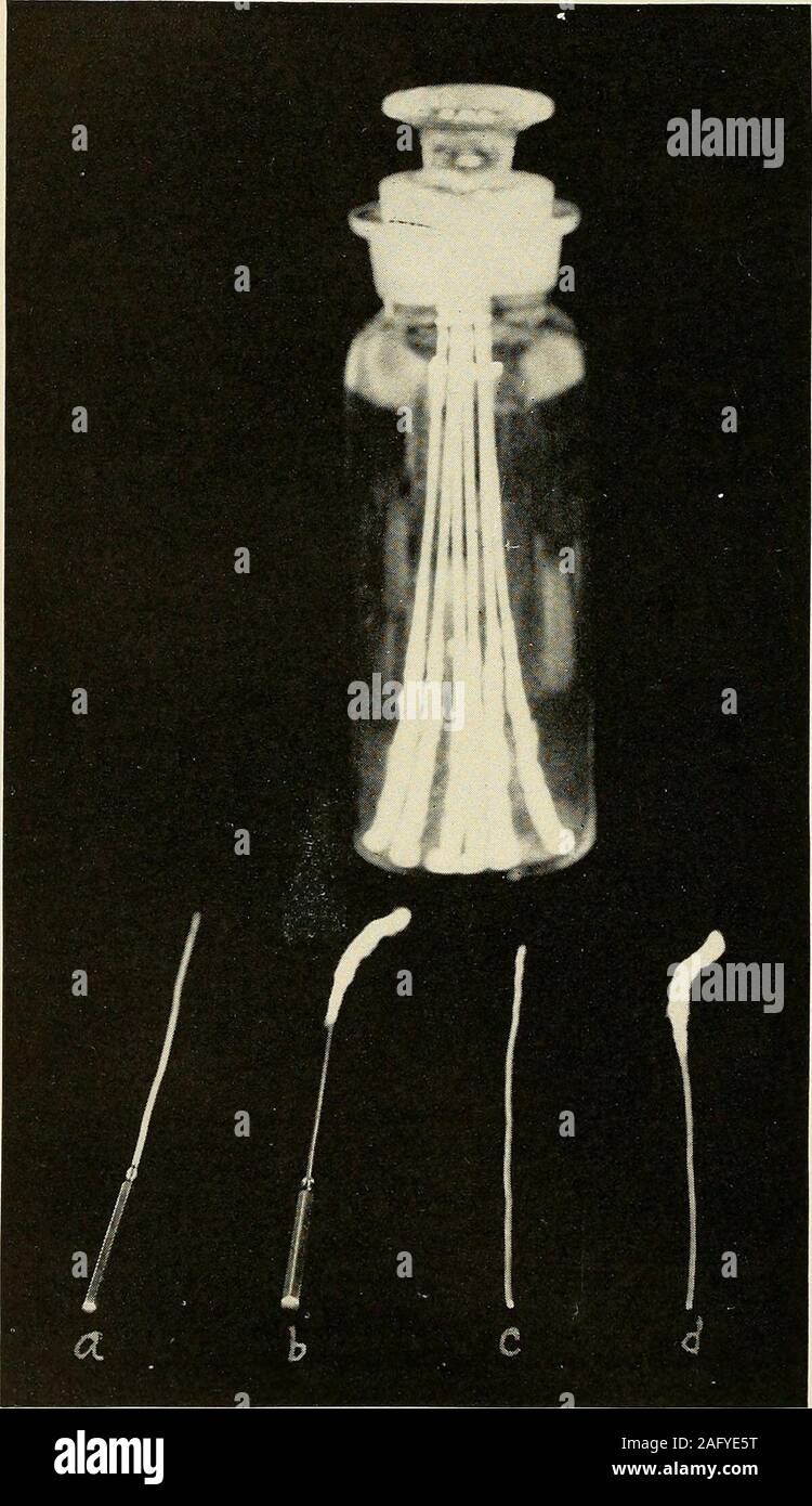 Protargol hi-res stock photography and images - Alamy