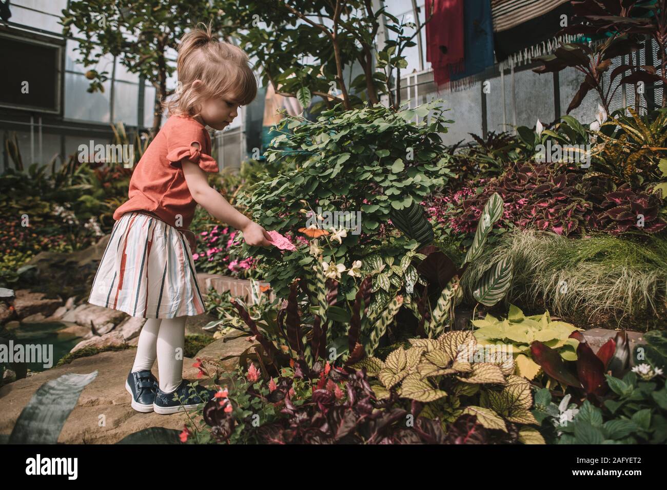 toddler catching an orange butterfly Stock Photo - Alamy