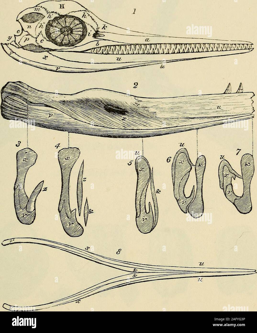 . Geology and mineralogy considered with reference to natural theology ...