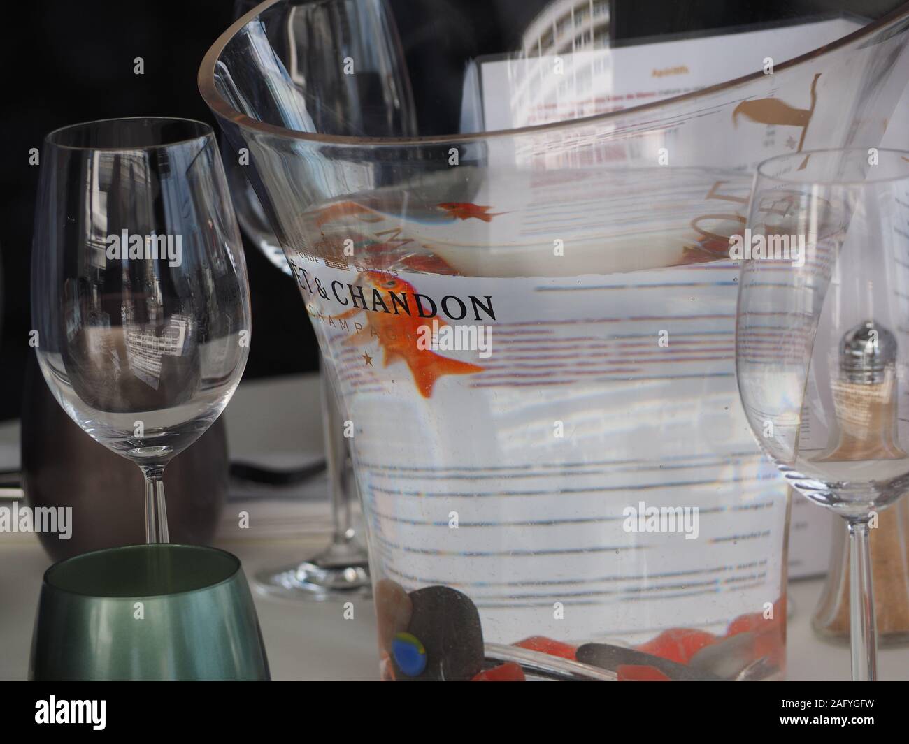 Goldfish in a champagne bucket water bowl Stock Photo - Alamy