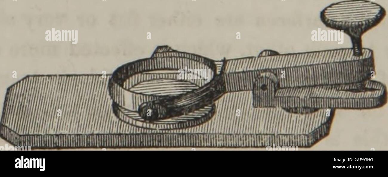 . The microscopic anatomy of the human body in health and disease ...