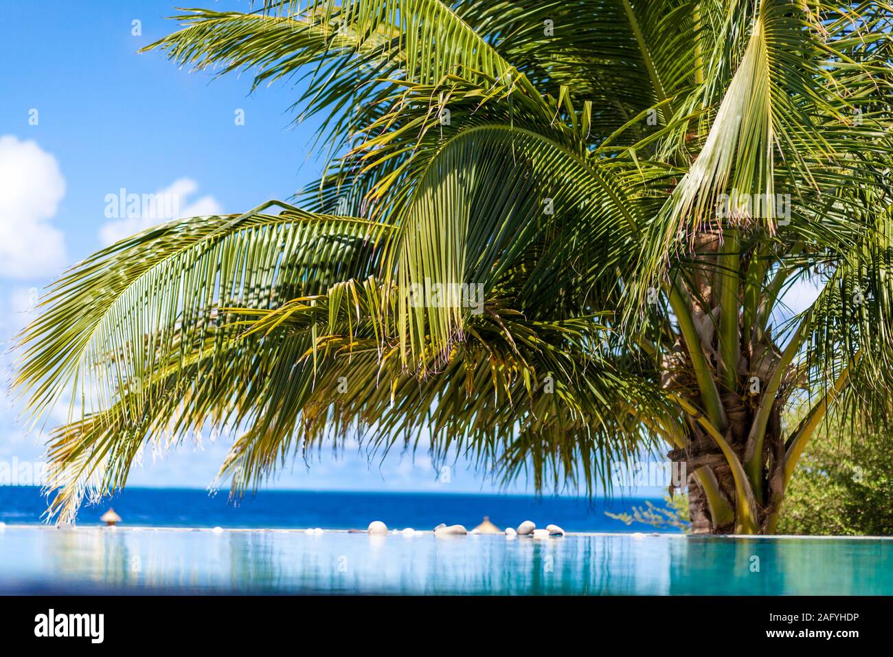 Ocean view from infinity pool hi-res stock photography and images - Alamy