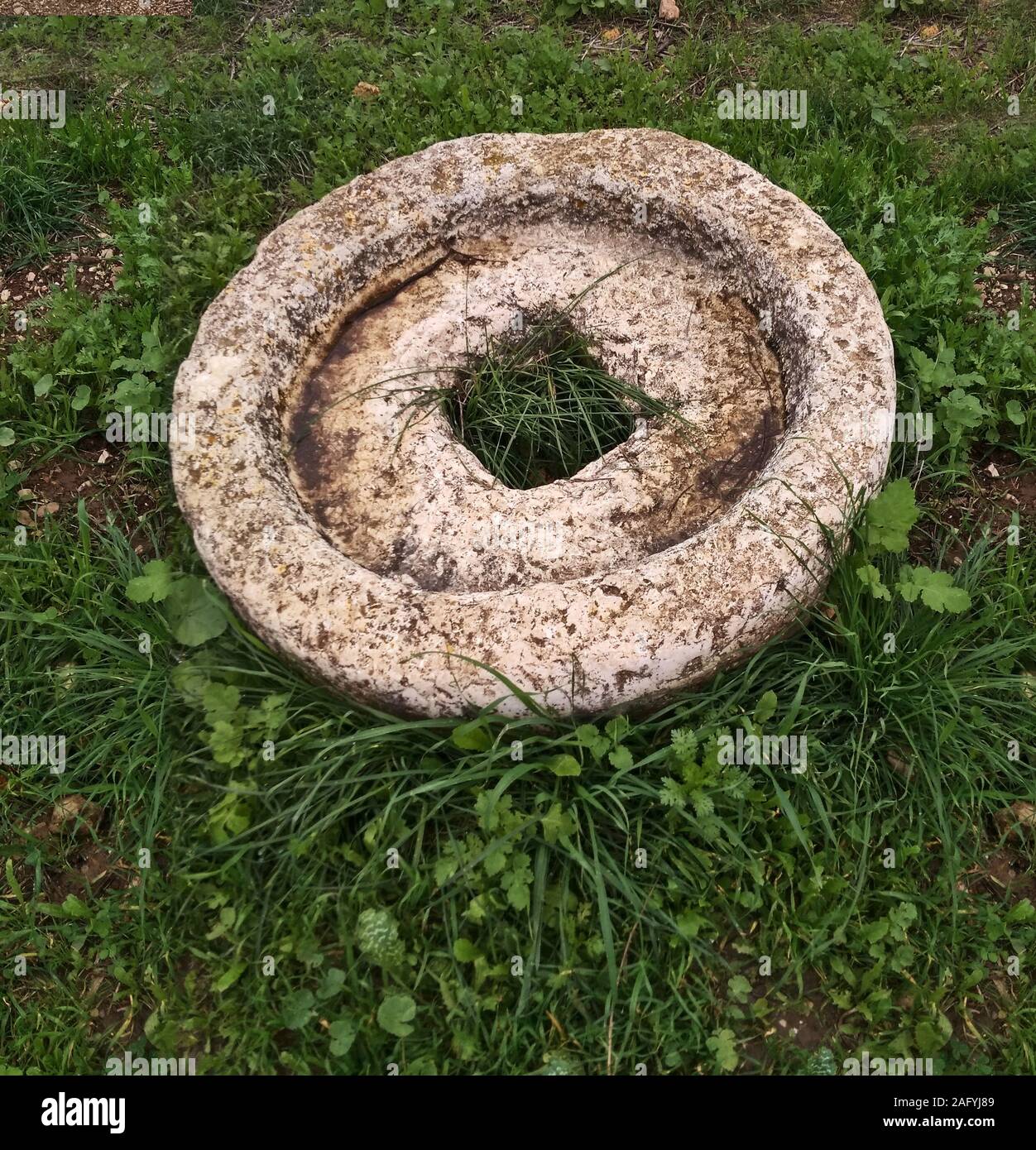 Olive oil stone press wheel hi-res stock photography and images - Alamy
