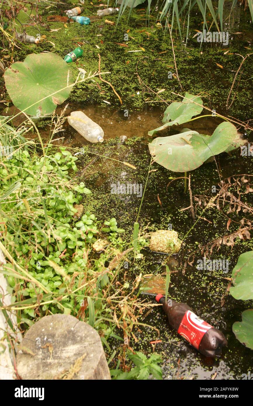 Litter floating on Lake Snagov in Romania Stock Photo - Alamy