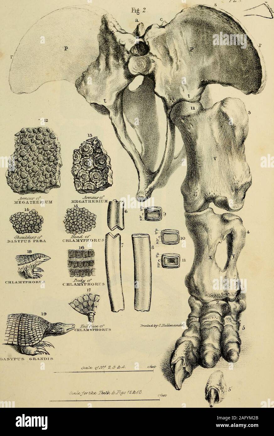 . Geology and mineralogy considered with reference to natural theology ...
