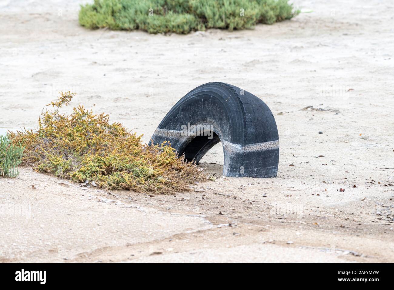 Old used Truck Tyre left in the mangrove, pollution and environmental ...