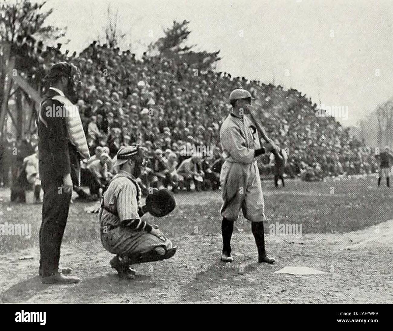 Runhigh hi-res stock photography and images - Alamy