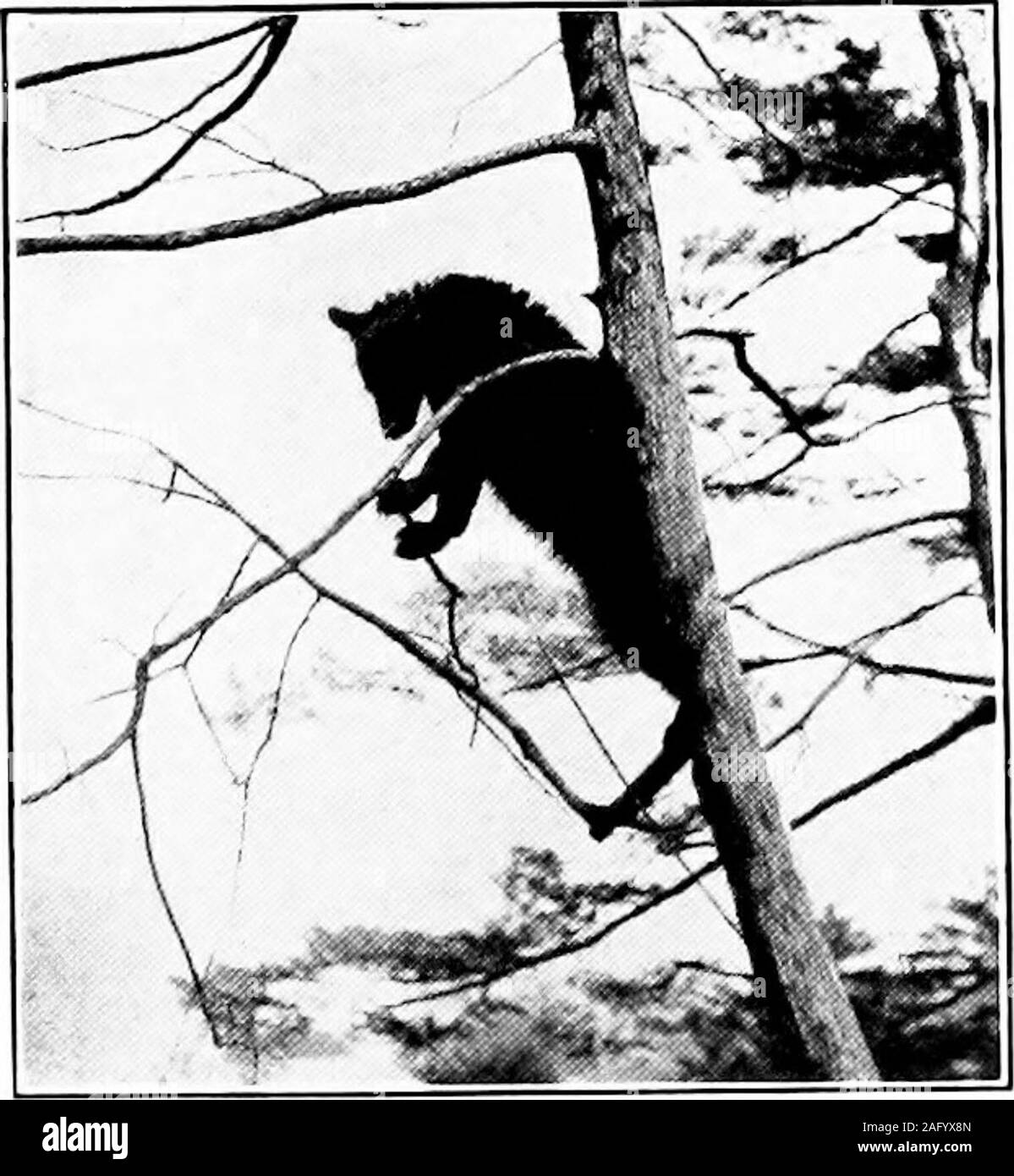 Roguish look hi-res stock photography and images - Alamy