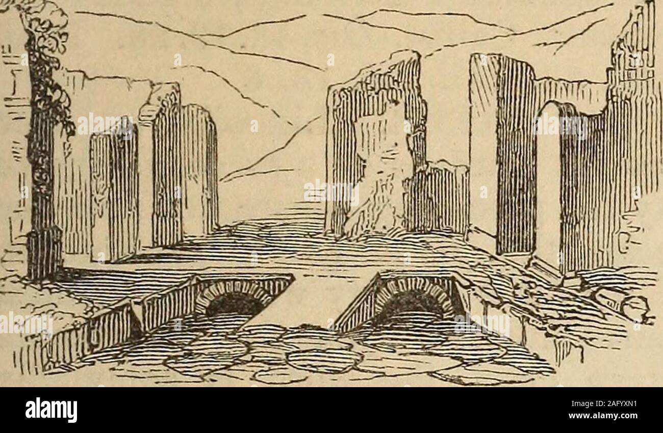 . The illustrated companion to the Latin dictionary and Greek lexicon ...