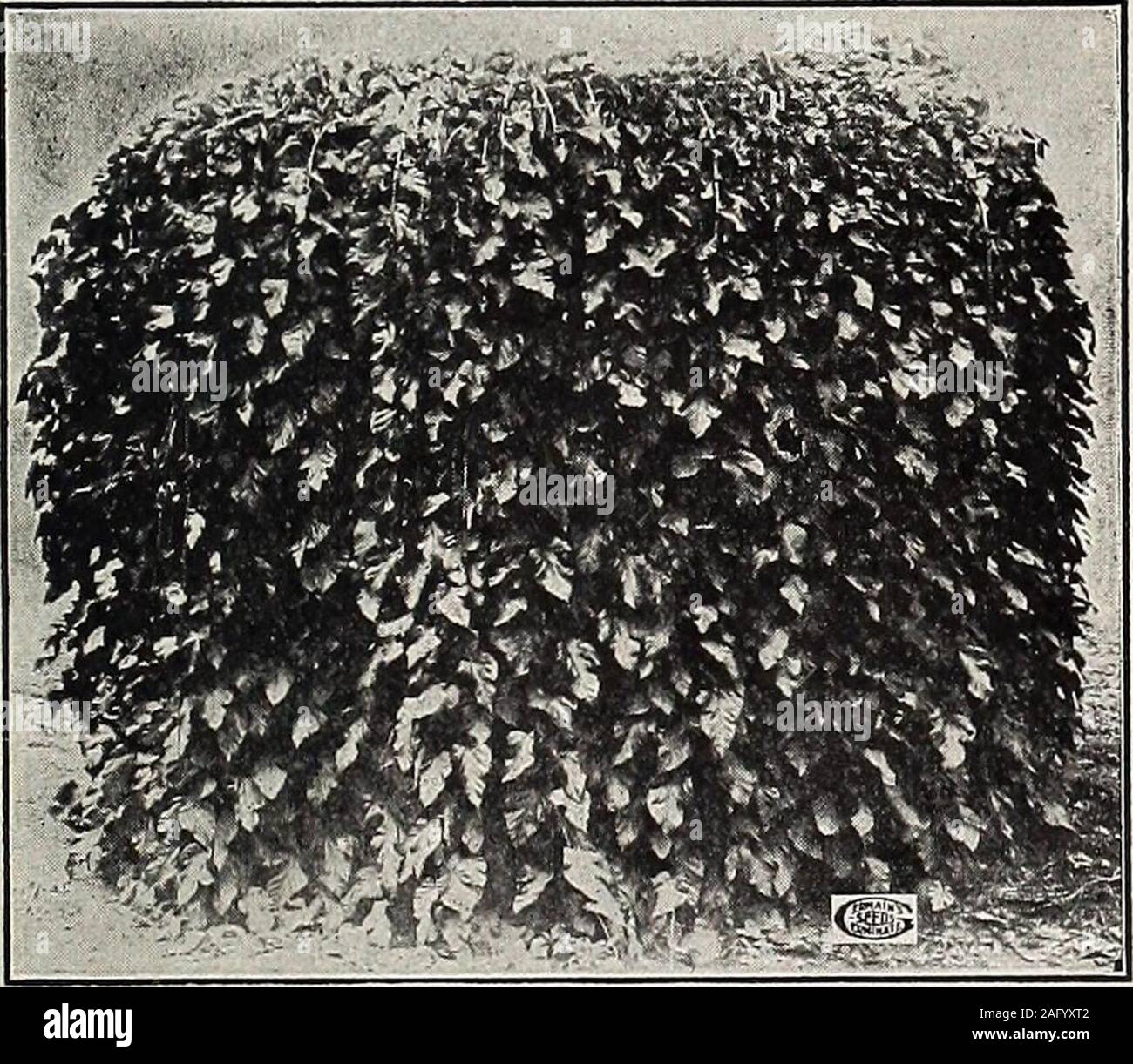 Native american lumber hi-res stock photography and images - Alamy