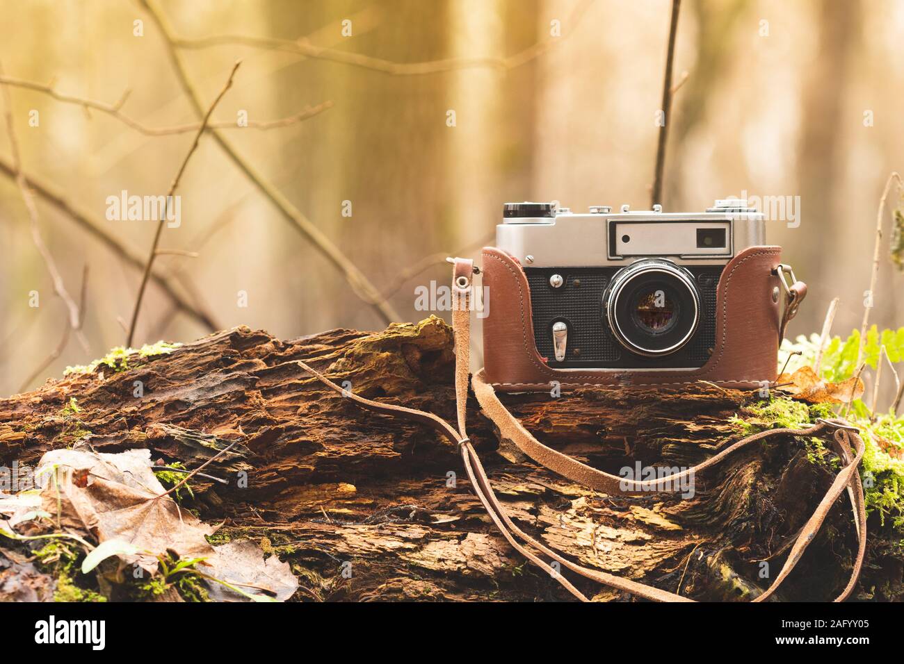 Old 35mm film camera placed on the fallen and rotten tree Stock Photo ...