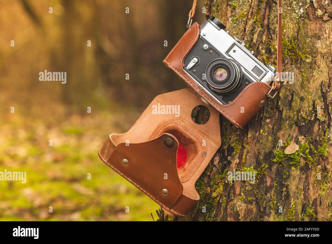Film camera hanging on a tree in natural outdoor Stock Photo - Alamy