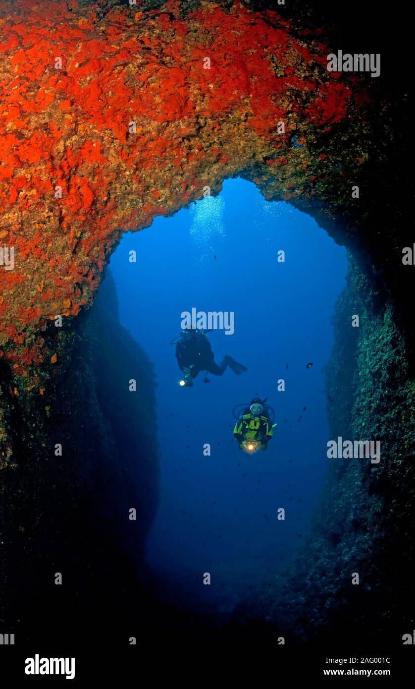 Scuba diver in a mediterranean reef, rocky arch overcrusted with red ...