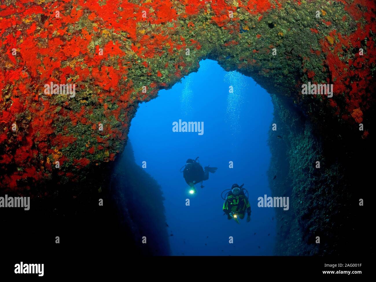 Scuba diver in a mediterranean reef, rocky arch overcrusted with red ...