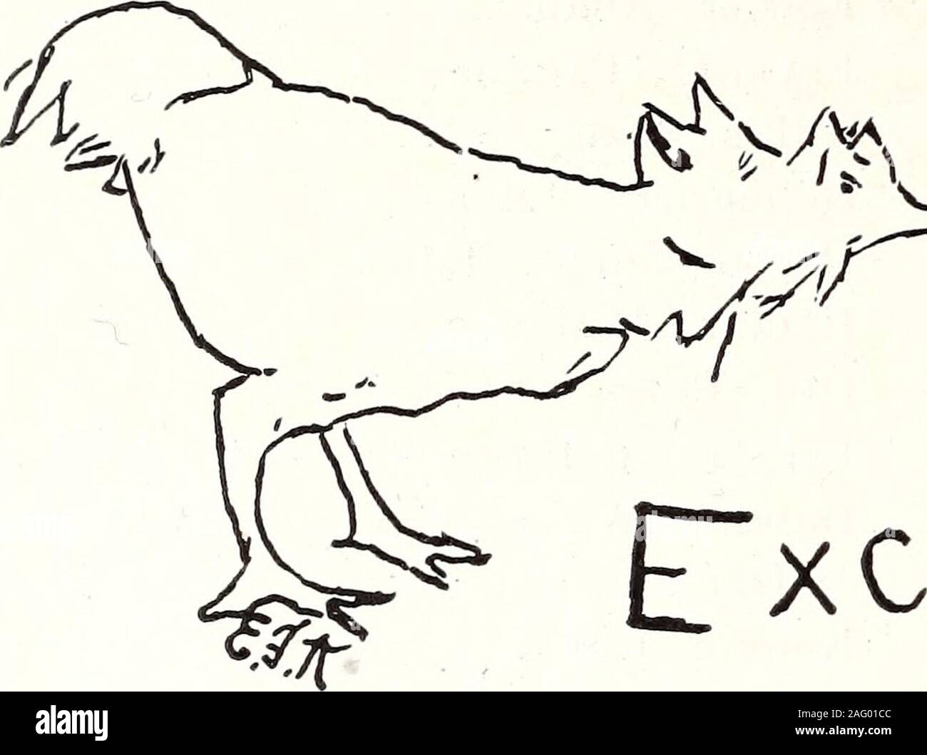 Laura olson hi-res stock photography and images - Alamy