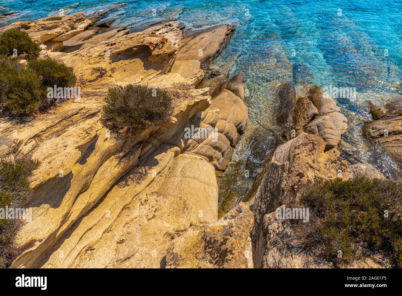 Trees growing on rocks and sea in Greece top view horizontal Stock ...
