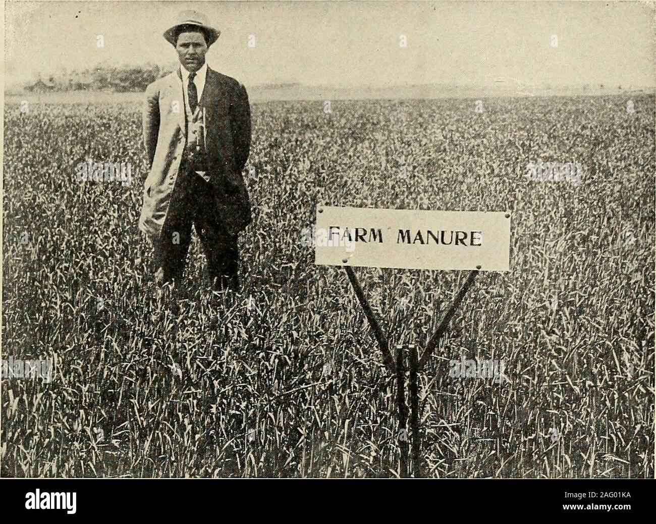 . Soil physics and management. single years results. Phosphorus may be ...