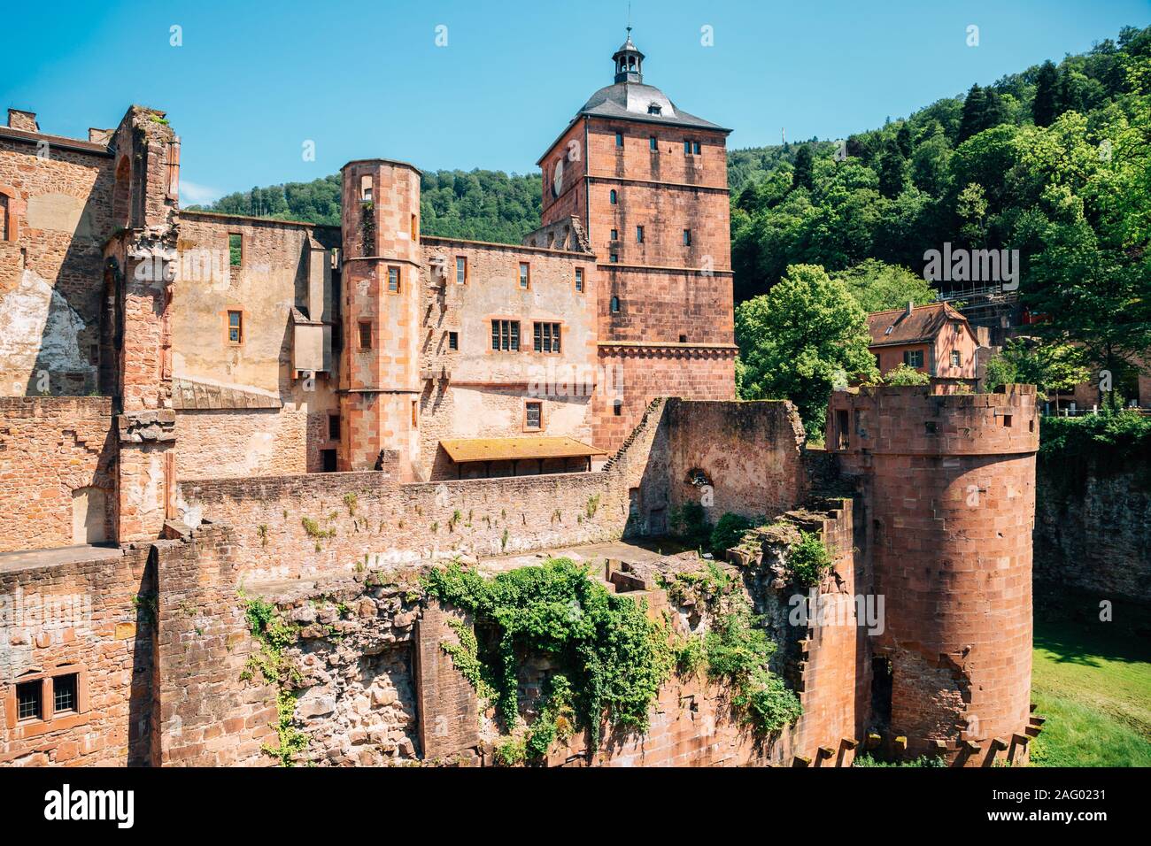 Heidelberg castle ruins in Germany Stock Photo - Alamy