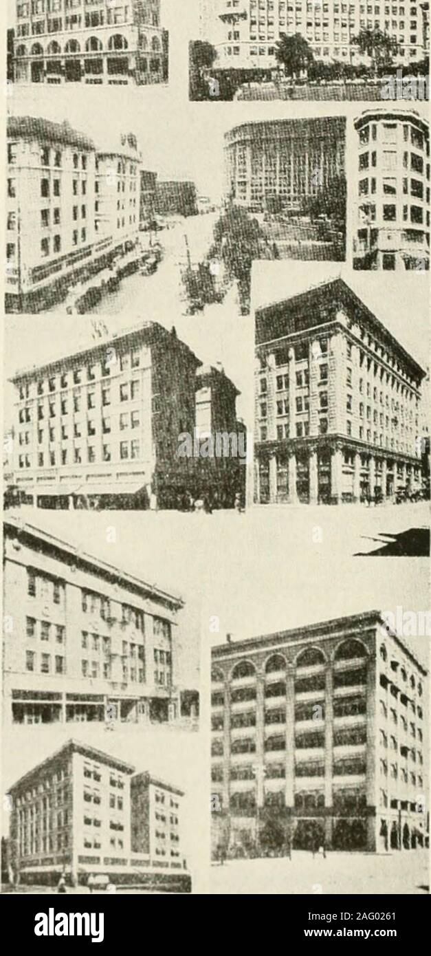 Micee hi-res stock photography and images - Alamy