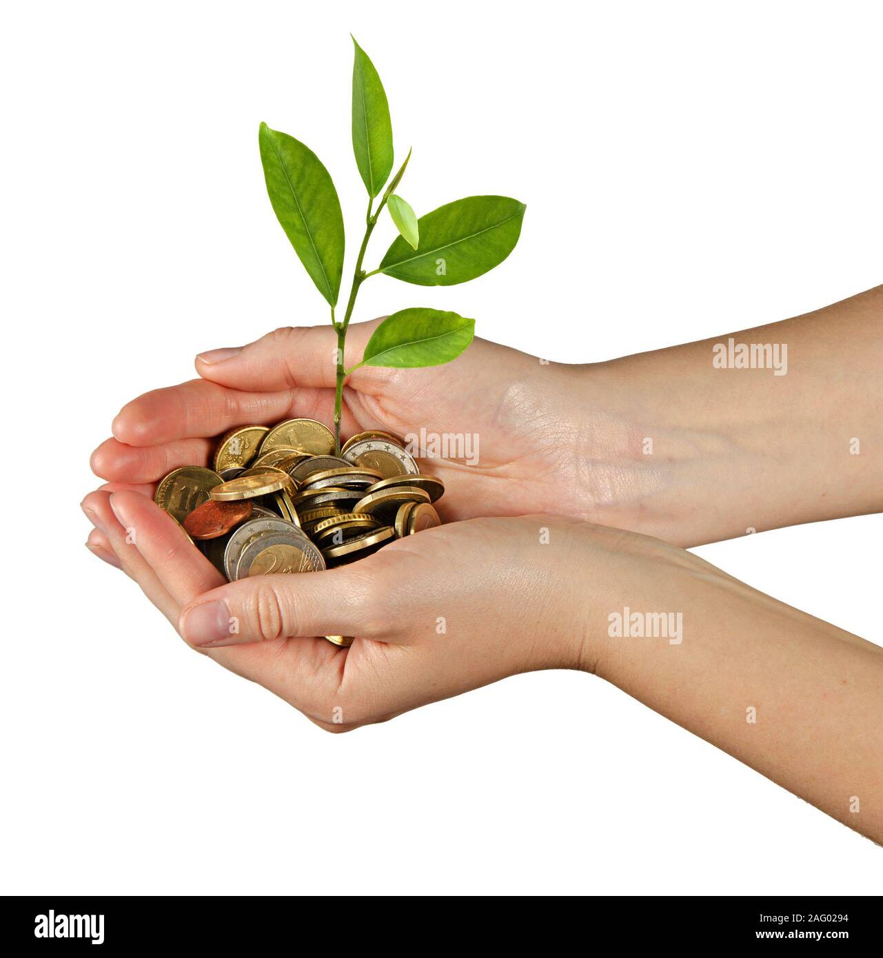 Tree growing from pile of coins Stock Photo - Alamy