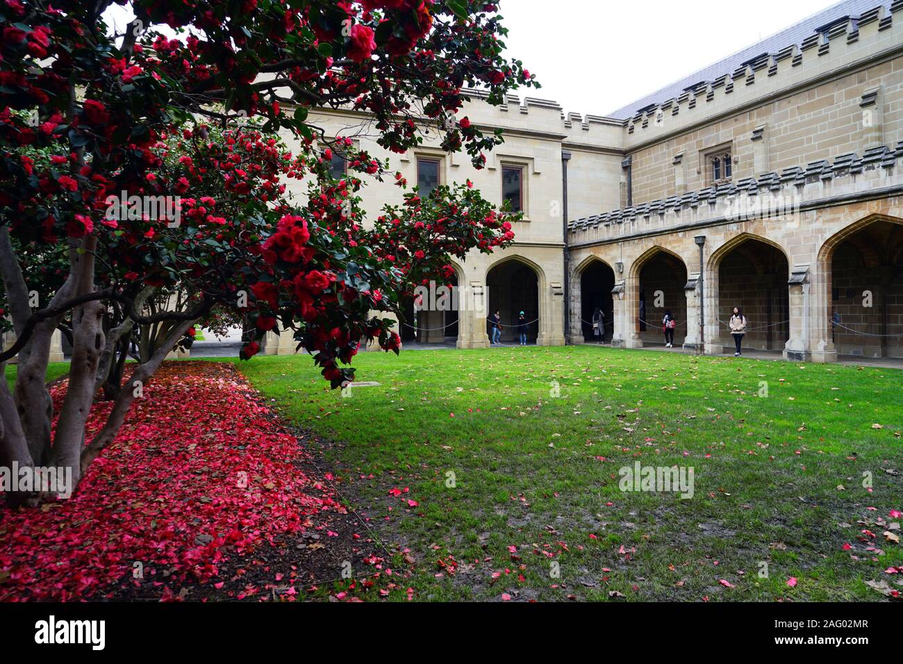 MELBOURNE, AUSTRALIA -17 JUL 2019- View of the campus of the University ...
