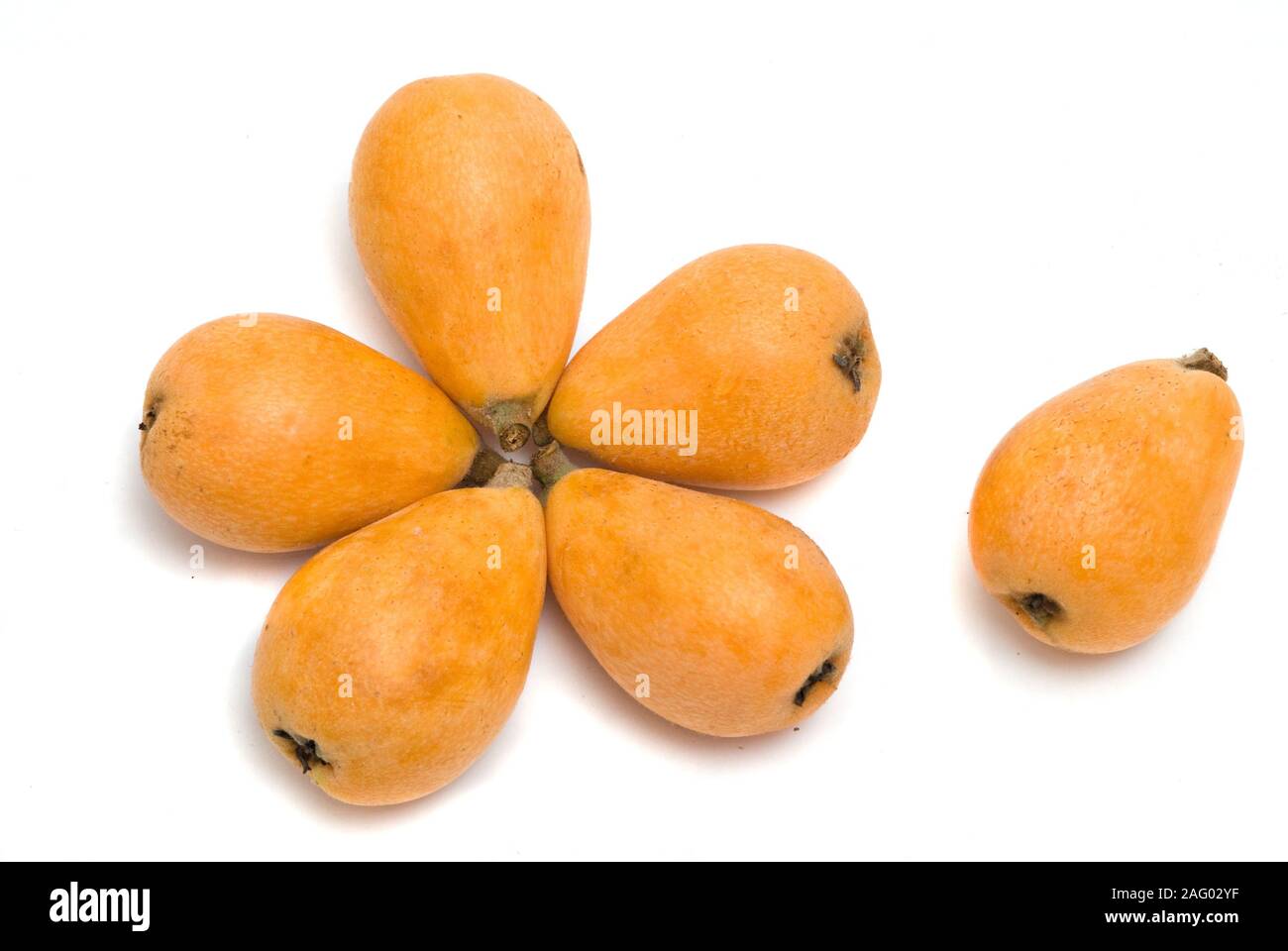 Loquats isolated on white background Stock Photo - Alamy