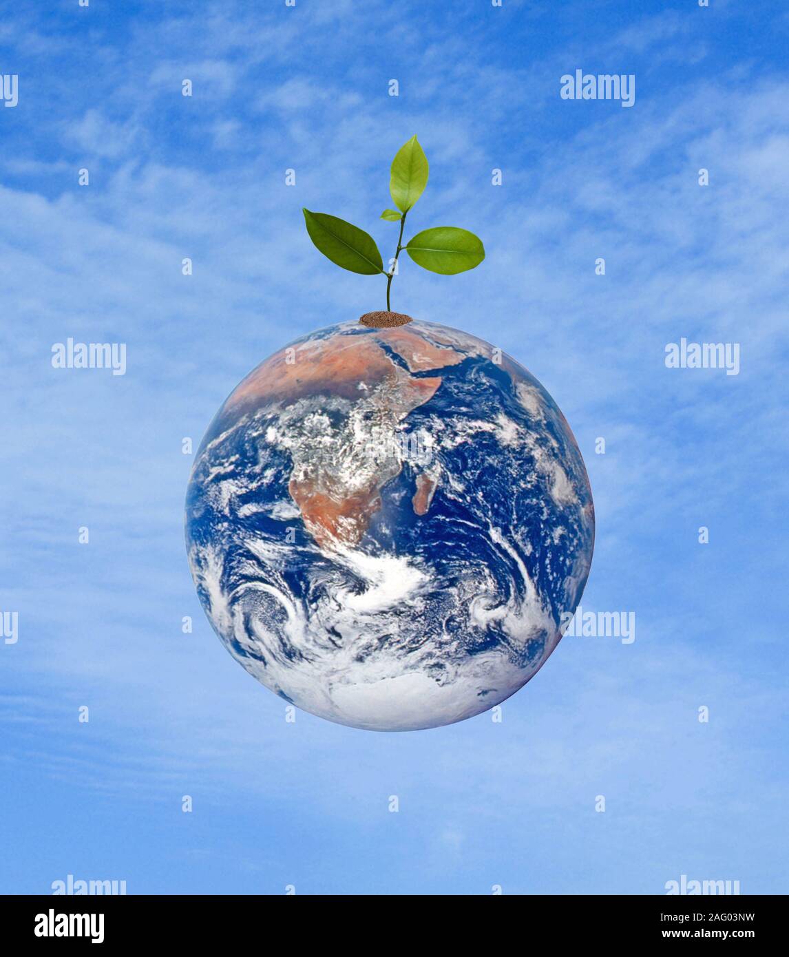 Tree on Earth as a symbol of peace and feeding the world.Elements of ...