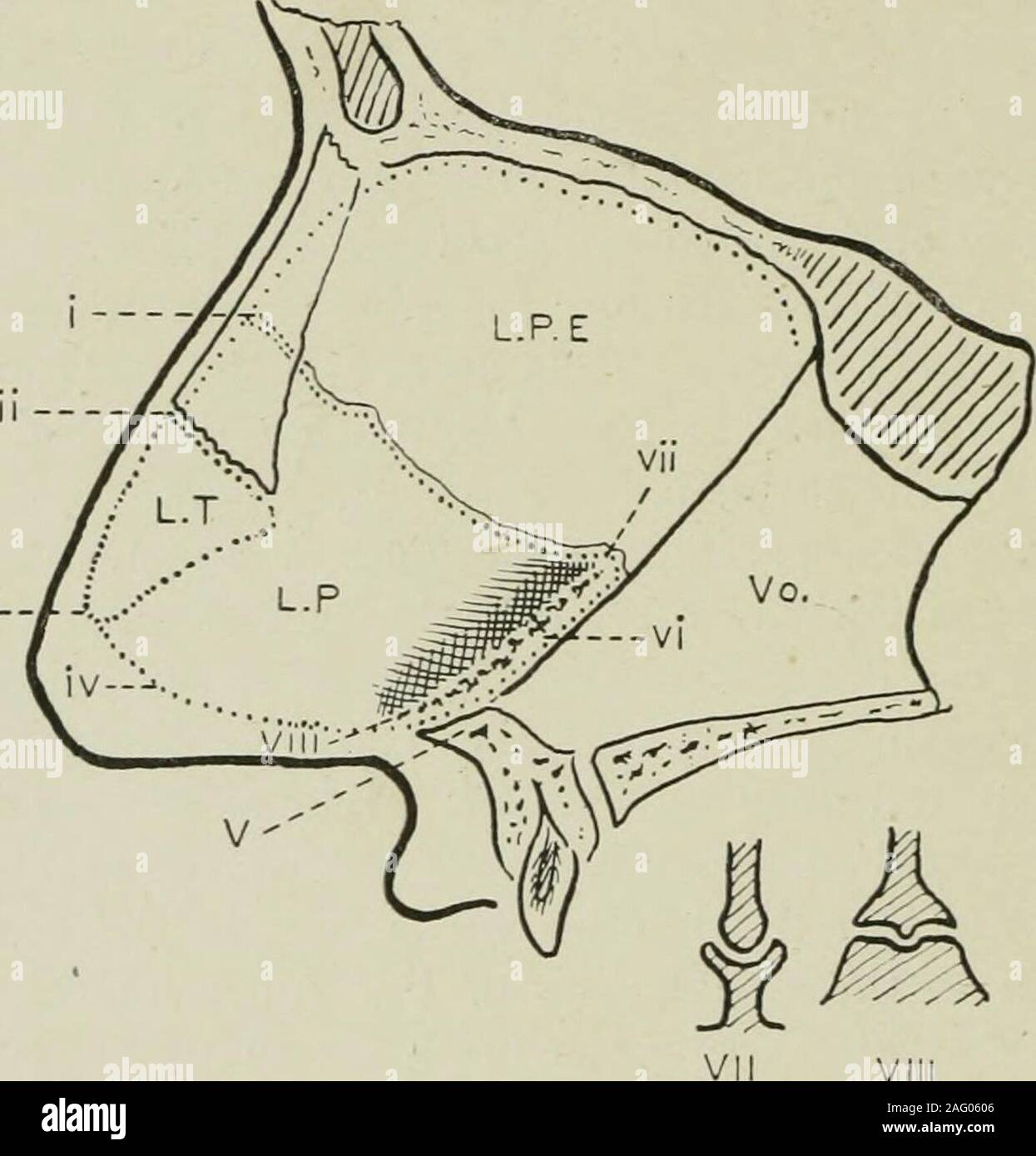 . Journal of anatomy. ^ so considerably in each individual case. The ...