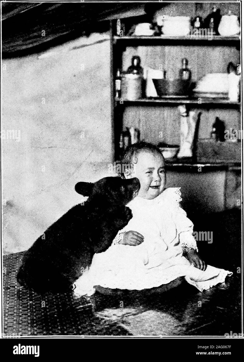 . Wild brother; strangest of true stories from the north woods. o move ...