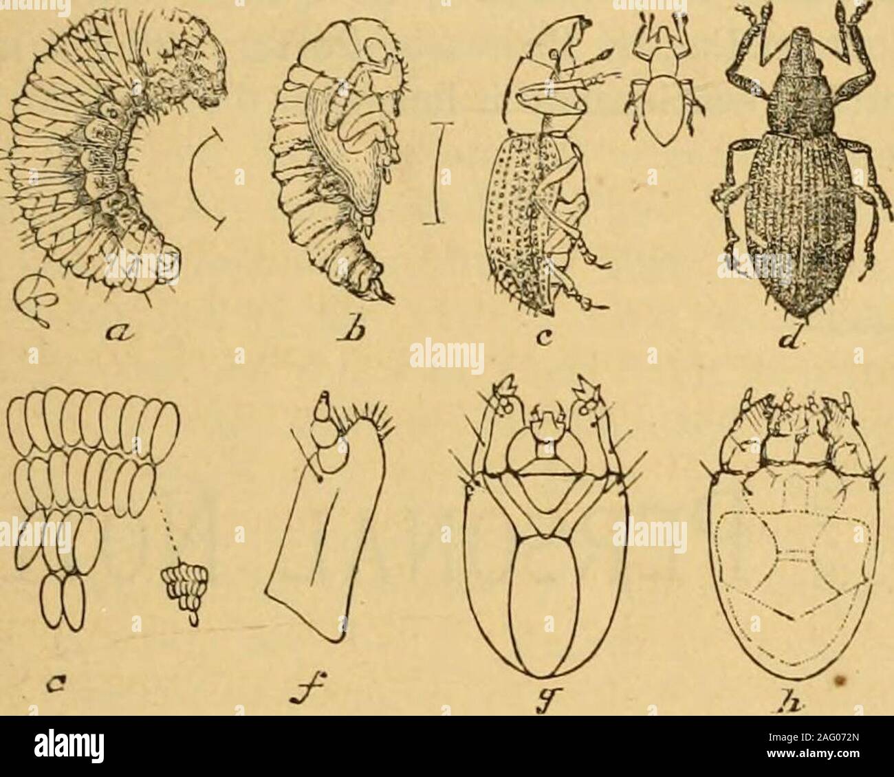 Shun light hi-res stock photography and images - Alamy