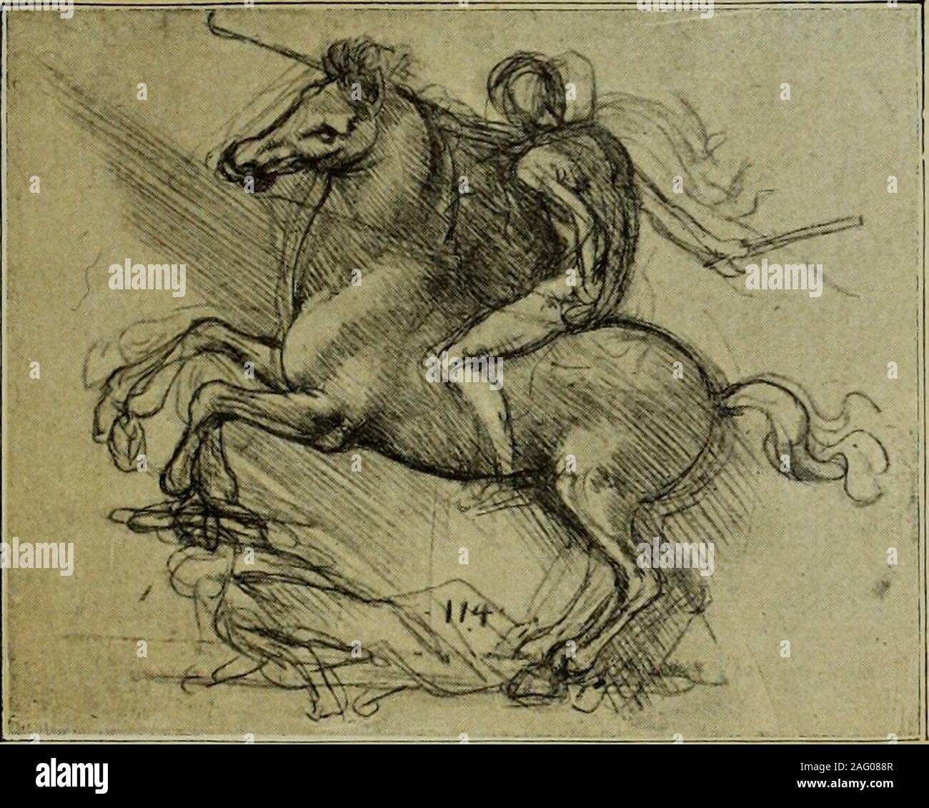 Anatomy michelangelo hi-res stock photography and images - Alamy
