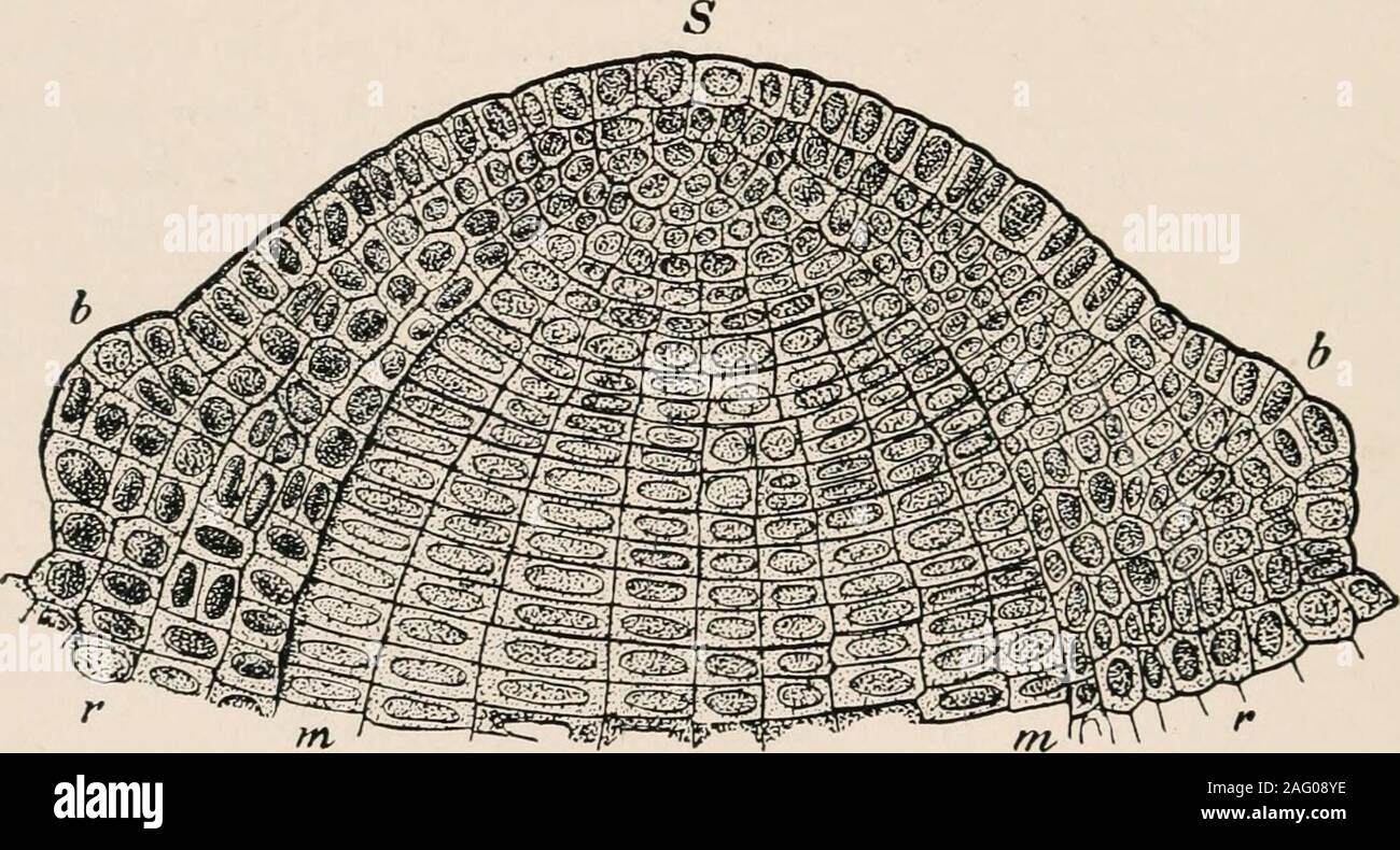 Anticlines hi-res stock photography and images - Alamy