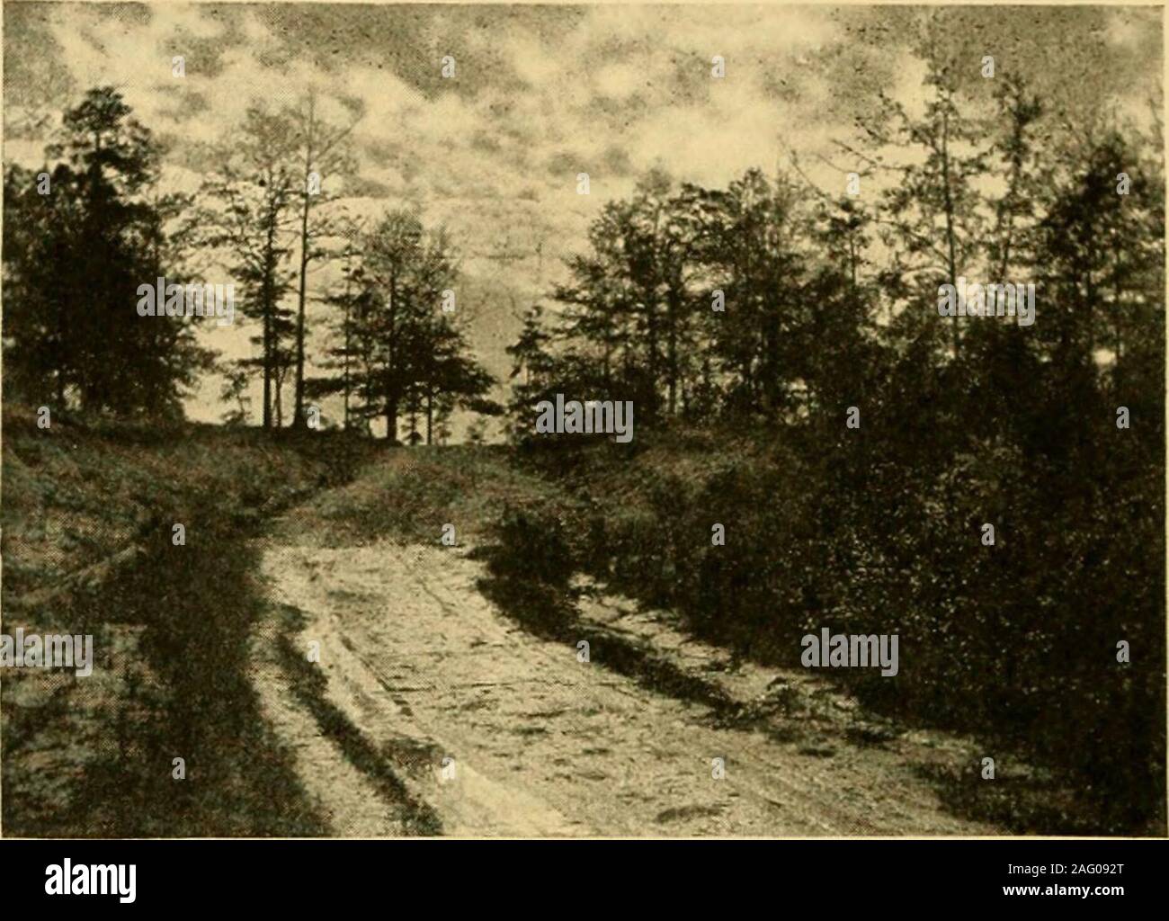 Circuits courts hi-res stock photography and images - Alamy