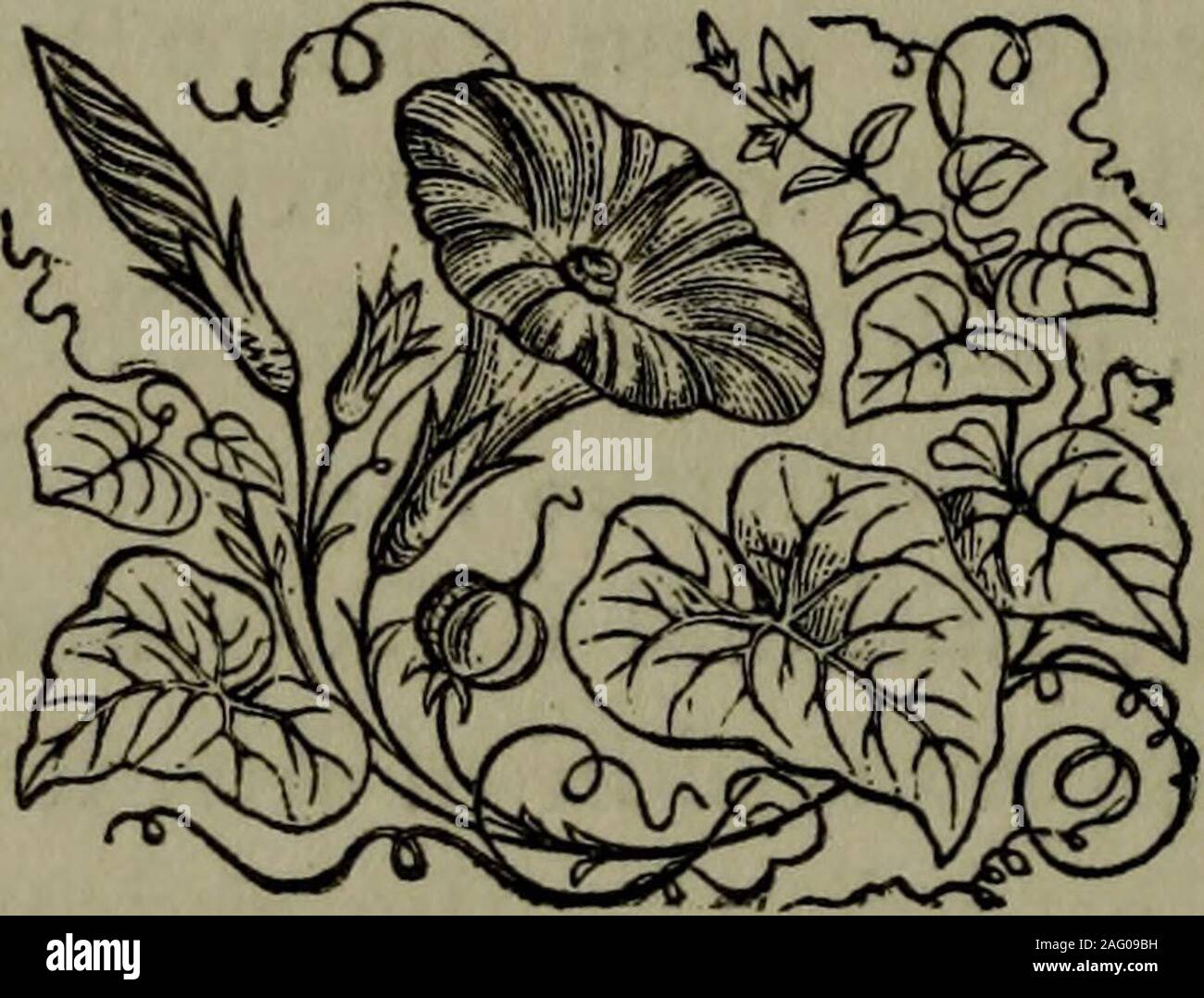 Celestial forms hi-res stock photography and images - Alamy