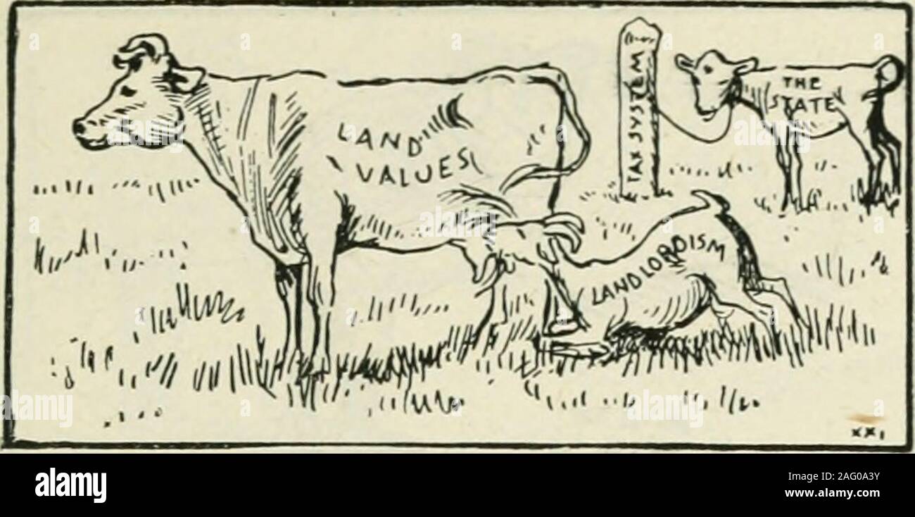 Same like cow hi-res stock photography and images - Alamy