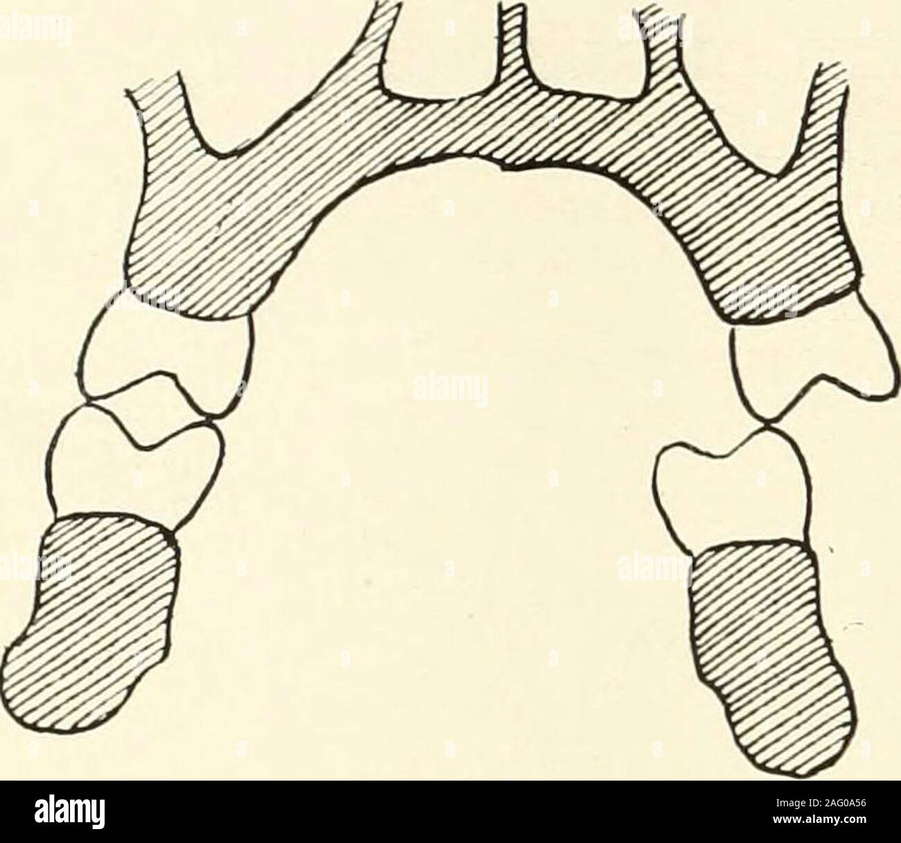 . The science and practice of dental surgery. Fig. goo. 530 the outer ...