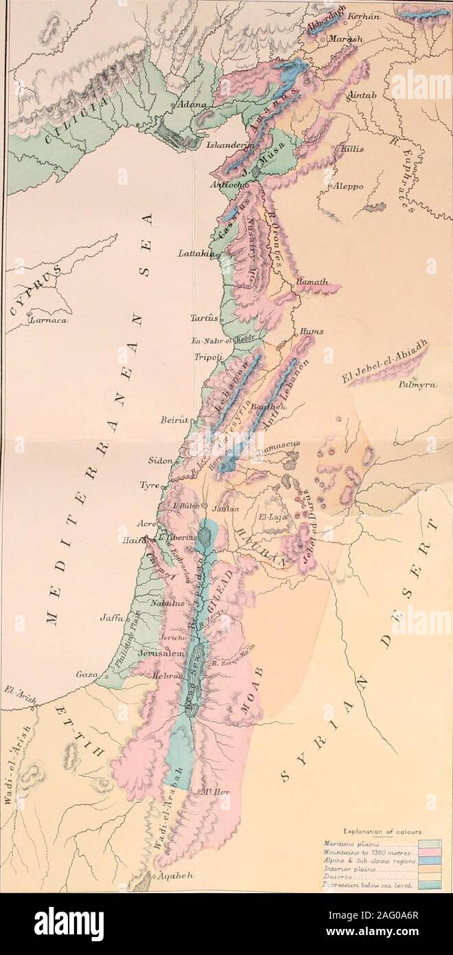 . Flora of Syria, Palestine, and Sinai : from the Taurus to Ras ...