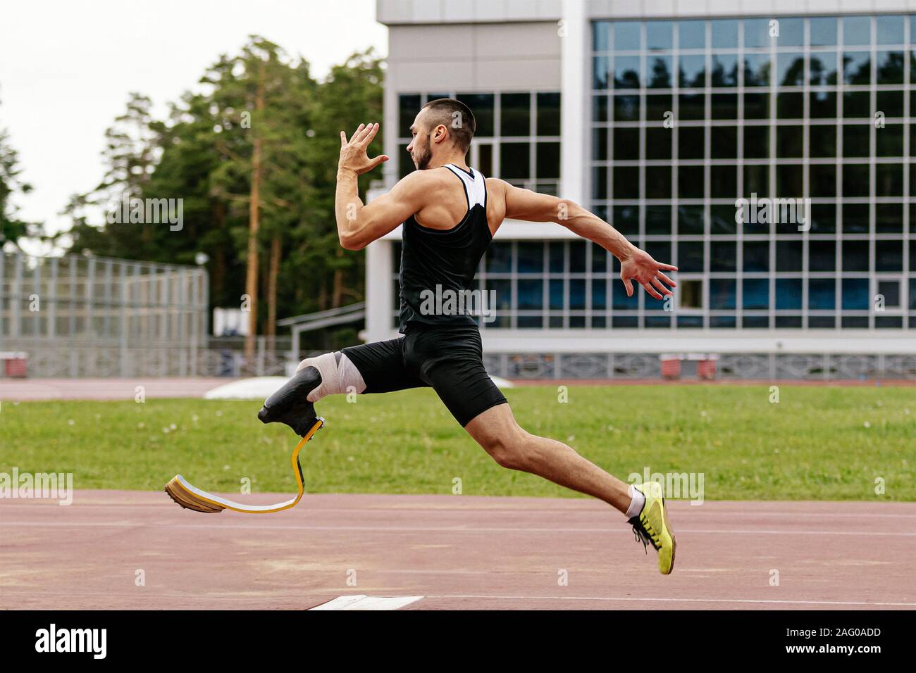 physically disabled athlete with prosthetic legs long jump in athletics ...