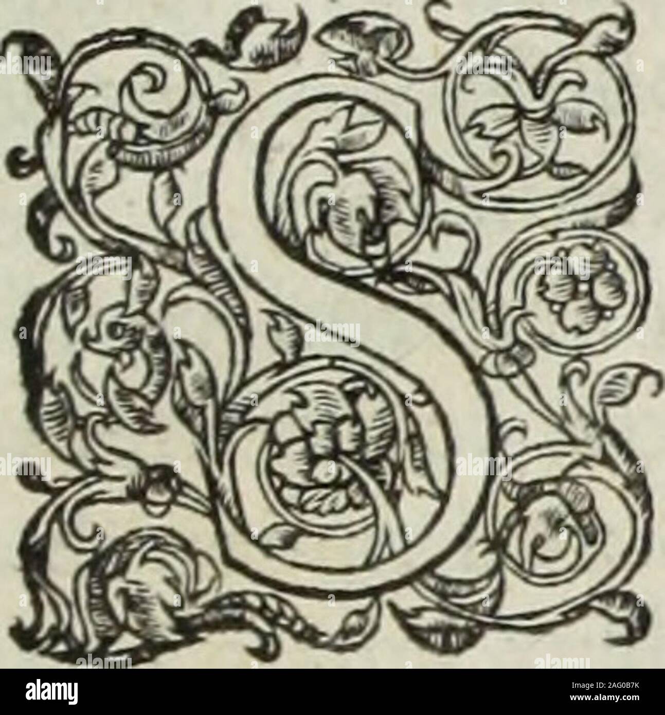 Baf font hi-res stock photography and images - Alamy