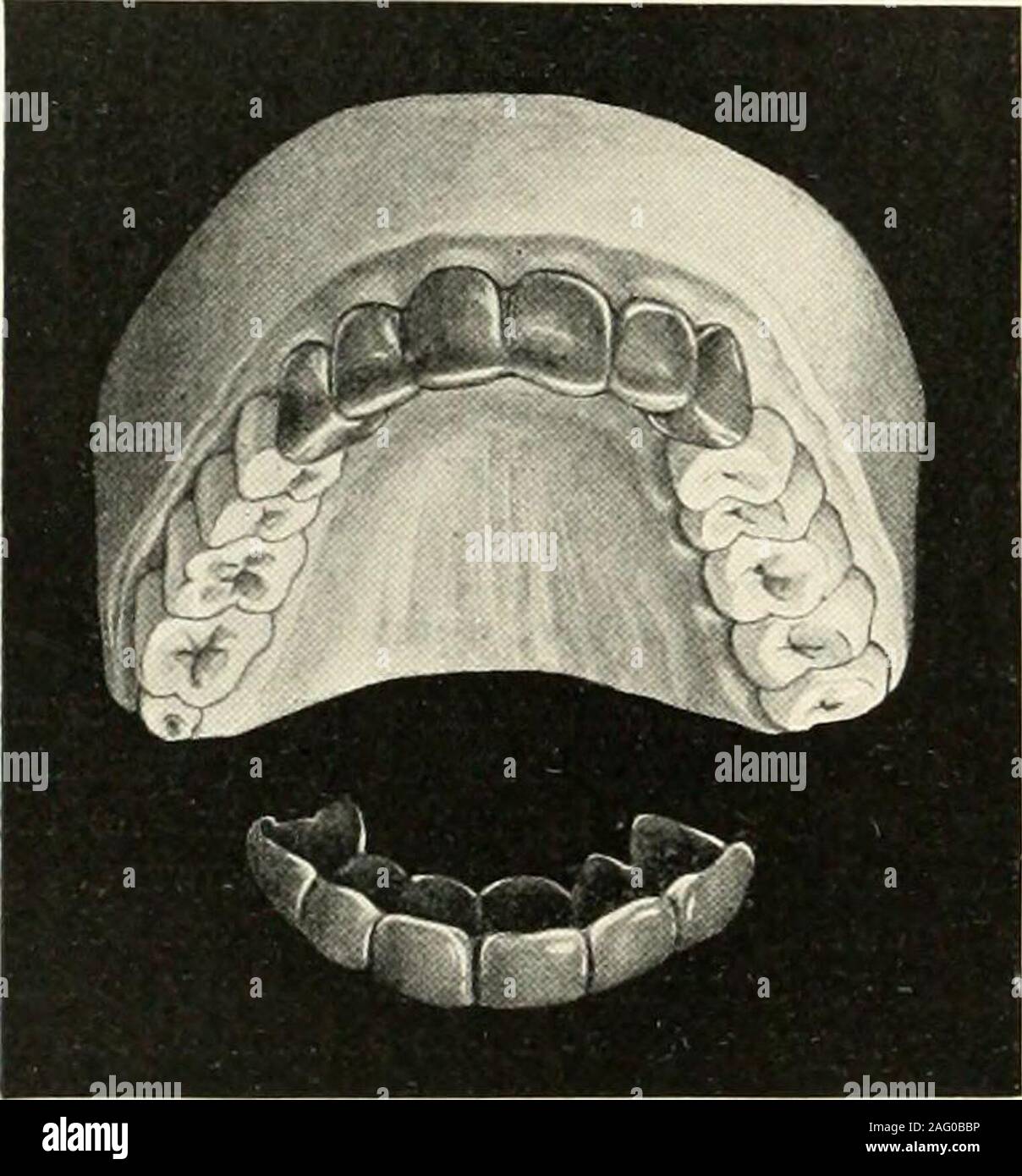 526 teeth hi-res stock photography and images - Alamy