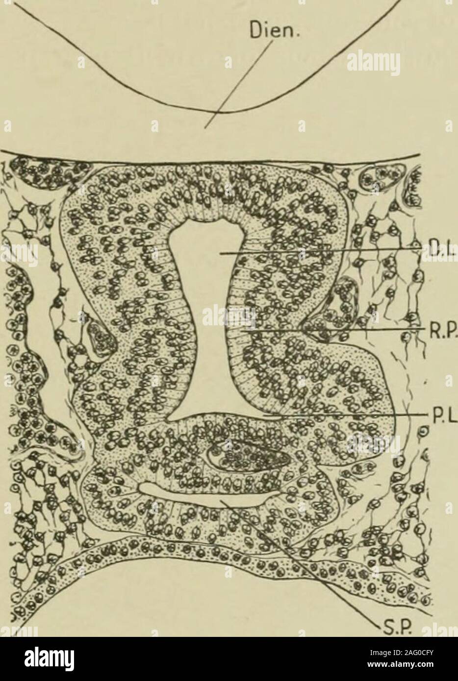 4 dien 3 one hi-res stock photography and images - Alamy