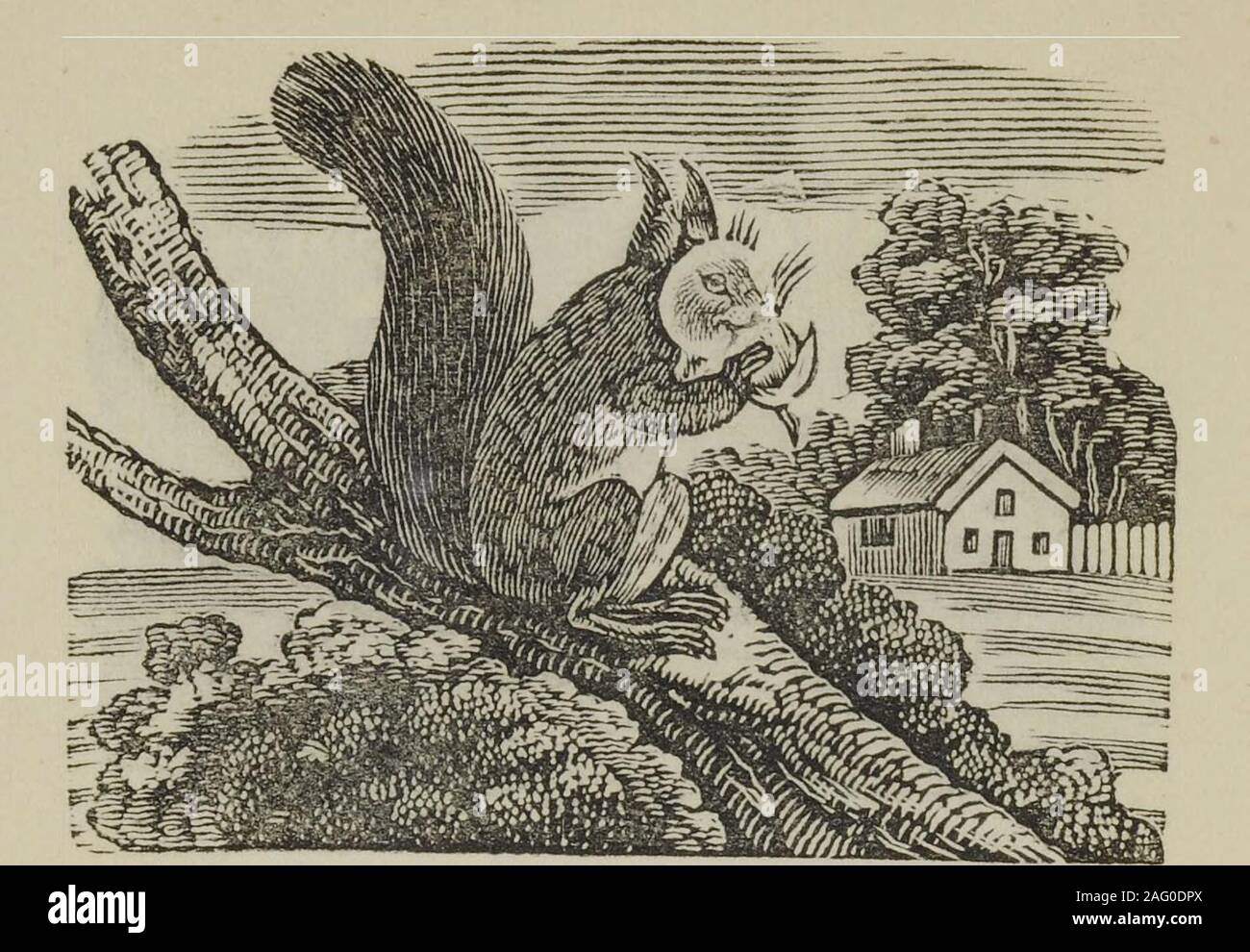 Rightin hi-res stock photography and images - Alamy