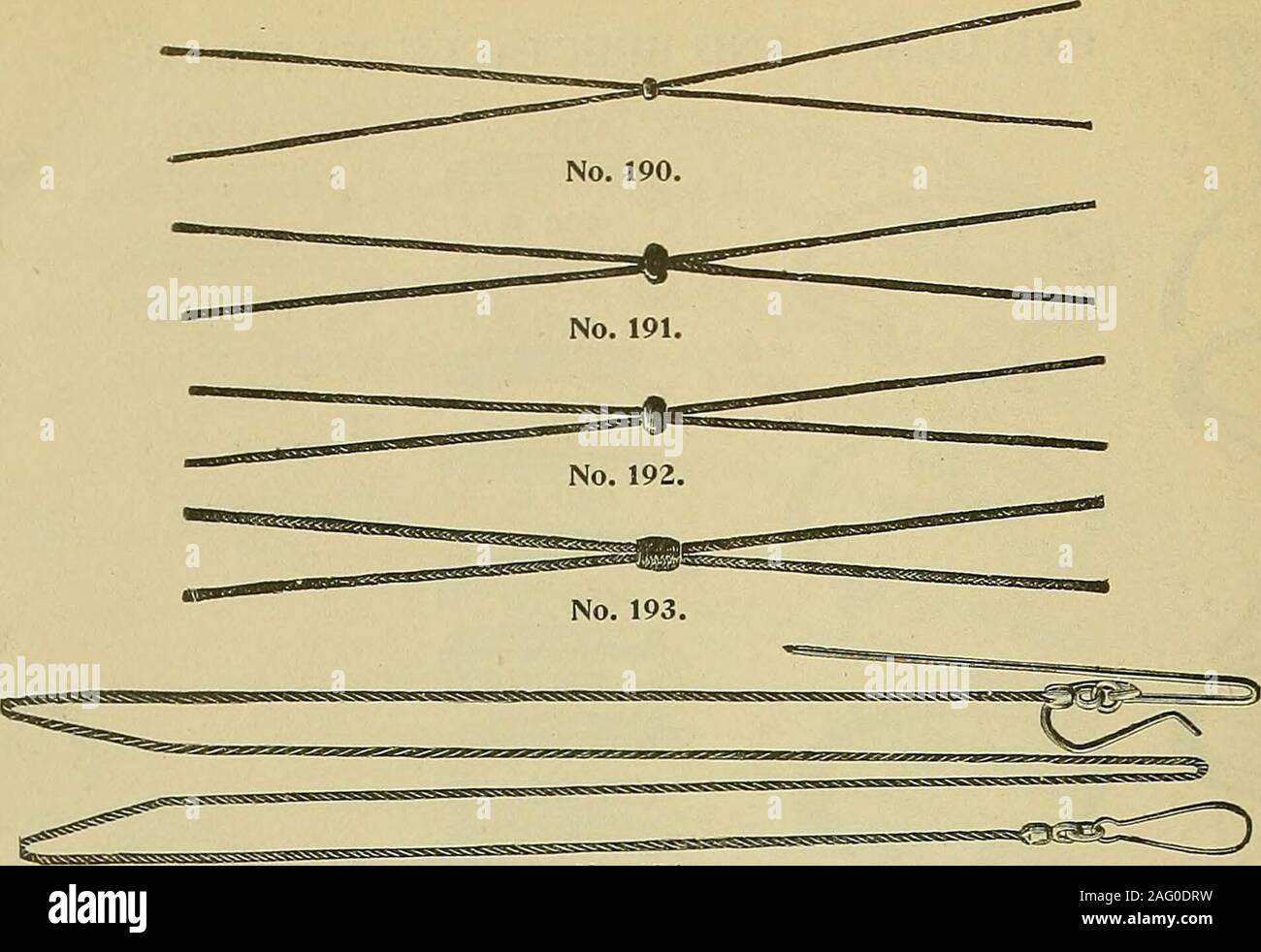 196 Gold High Resolution Stock Photography and Images - Alamy