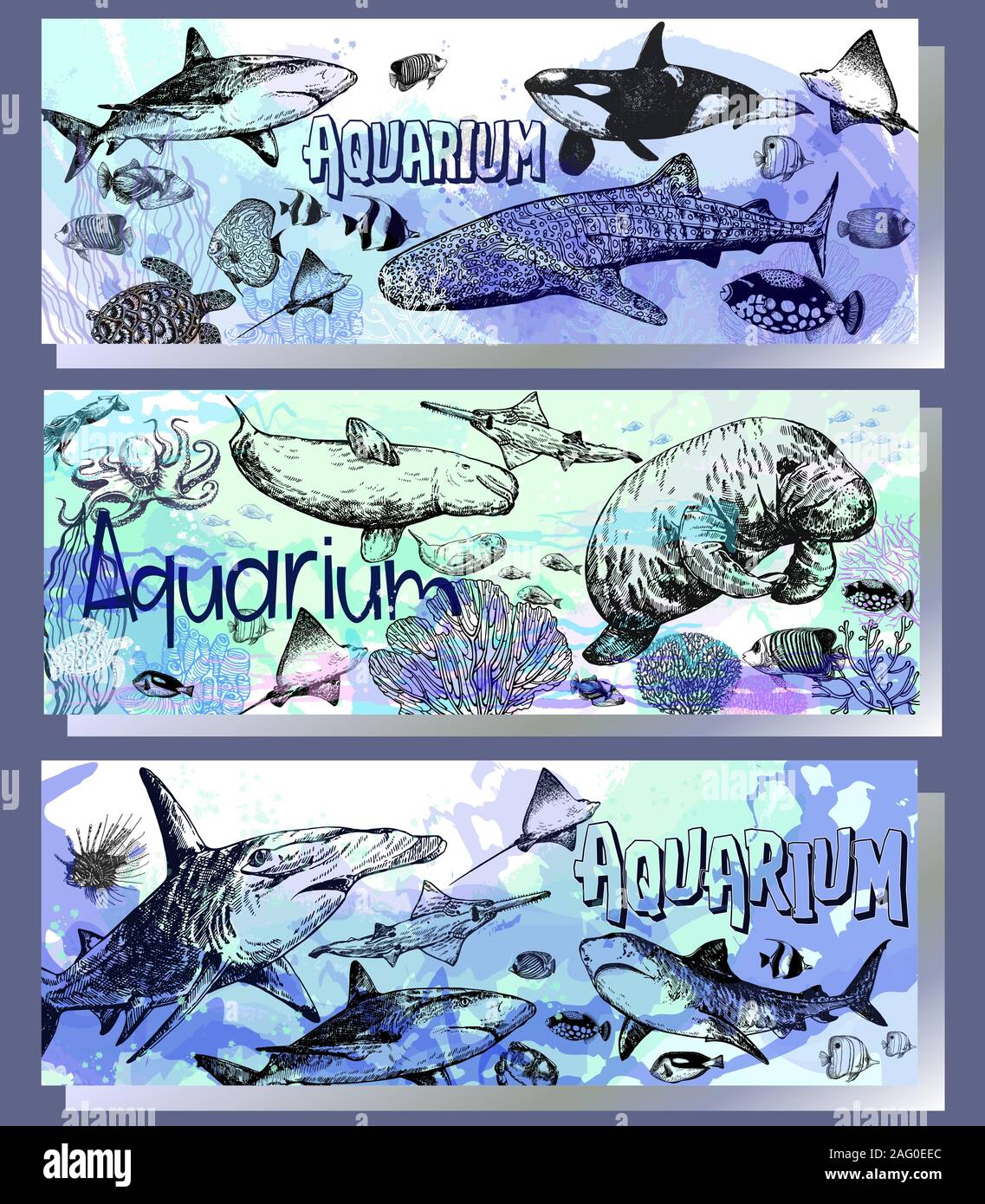 Shark pen and ink High Resolution Stock Photography and Images - Alamy